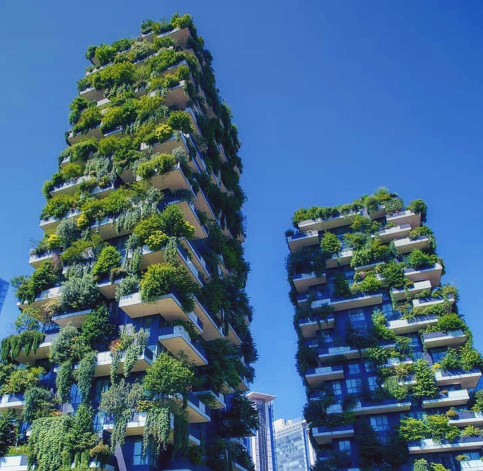 Biomimicry New Zealand - Nature-inspired design