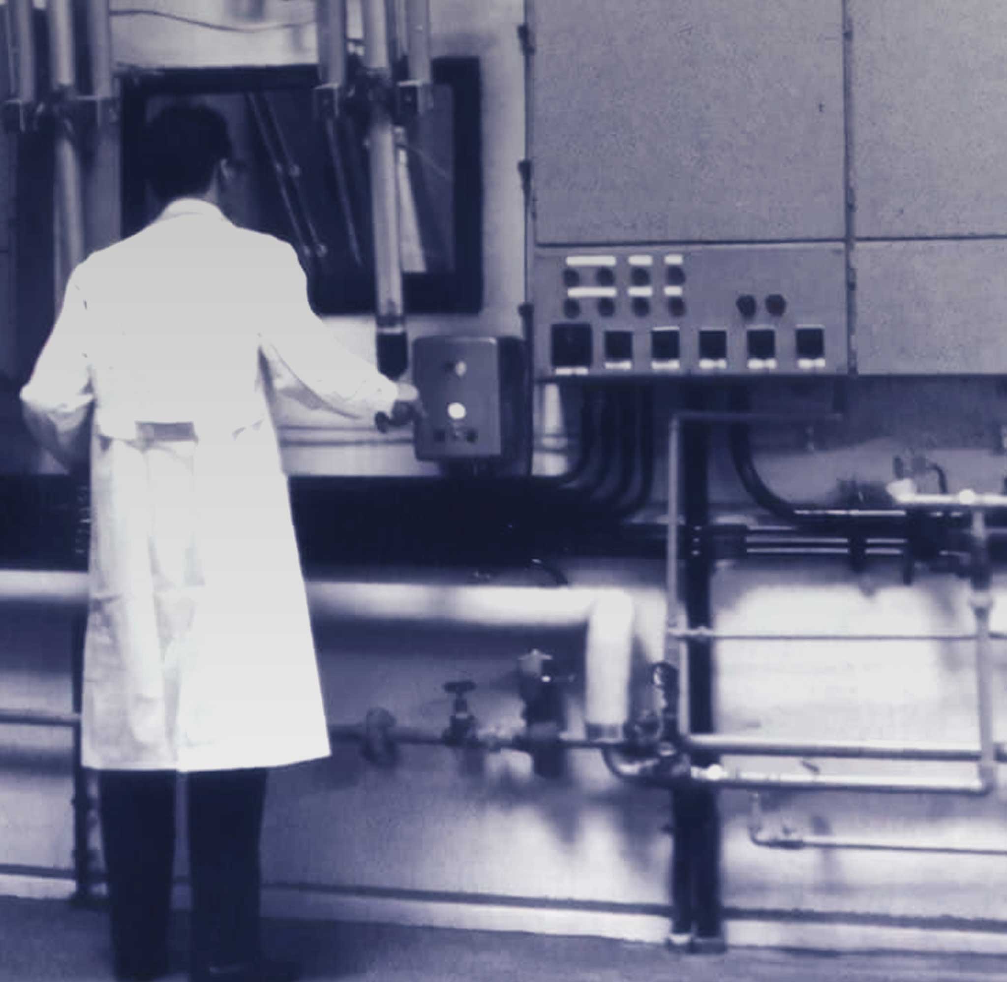 Biomimicry New Zealand - Nature-inspired design