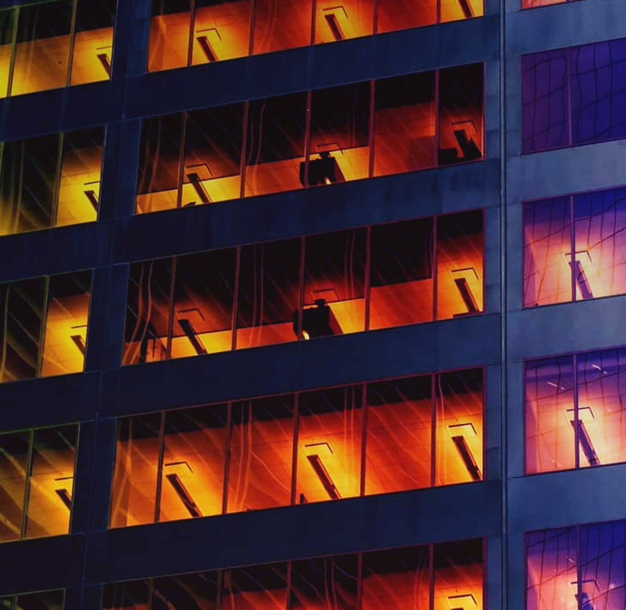 Biomimicry New Zealand - Nature-inspired design