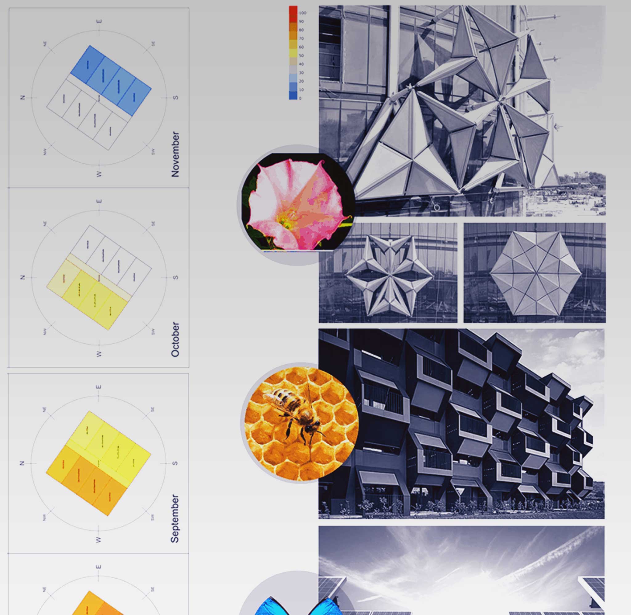 Biomimicry New Zealand - Nature-inspired design