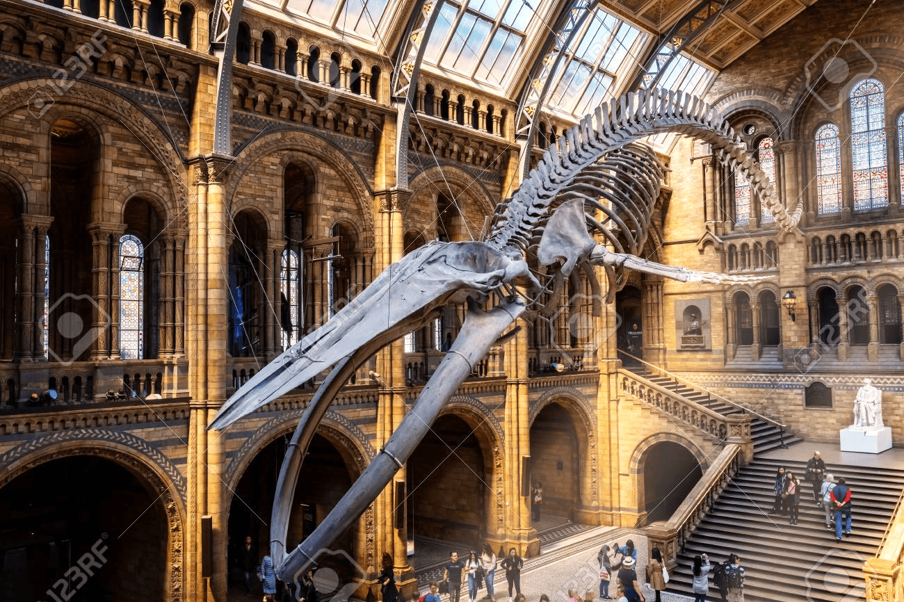 Unlocking Nature's Treasures: The Digital Revolution of UK's Natural ...