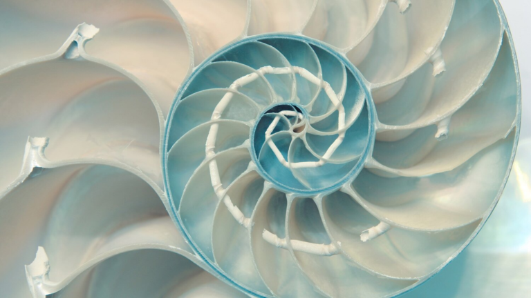 Embracing Nature’s Ingenuity: The Rise of Biomimetic Materials Science ...